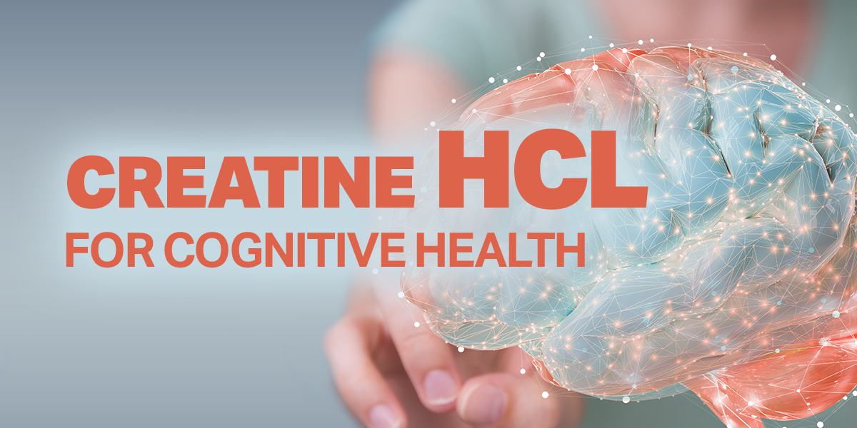 Creatine HCl for Cognitive Health | Boost Brain Function & Mood
