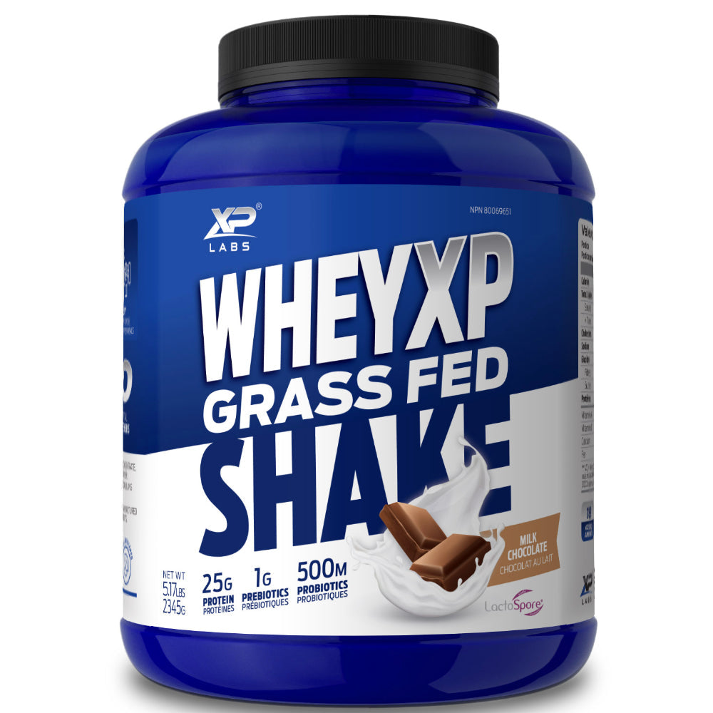 Buy Top Protein Powders On Sale - Whey, Vegan, Casein | FitShop.ca – Page 2